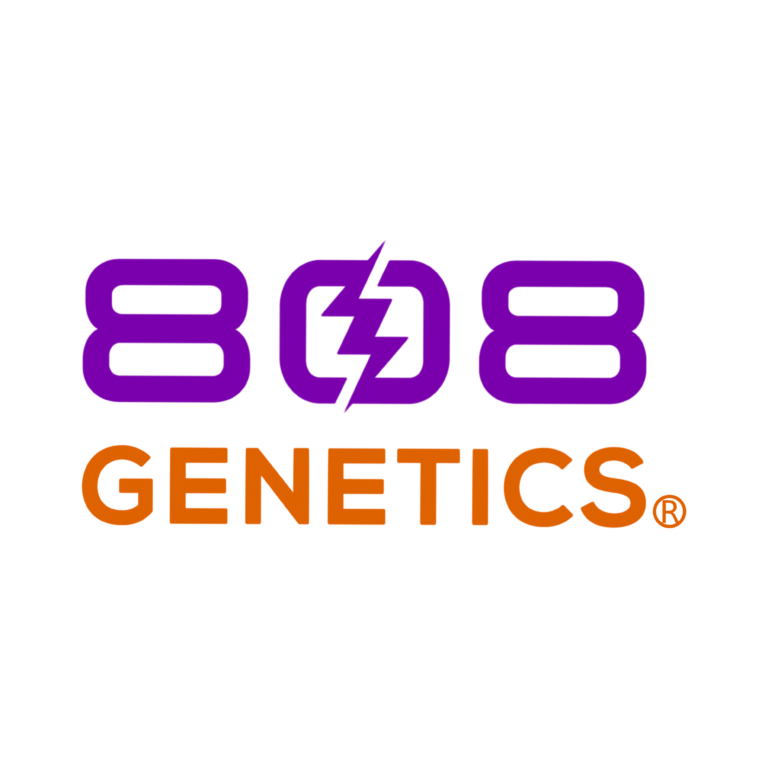 Garlic Octane – 808 Market